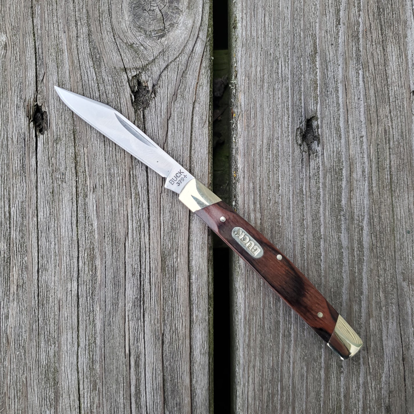 Buck 379 Solo 3" Folding Knife – Uptown Cutlery